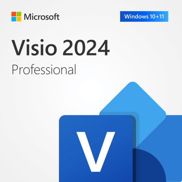 Licencias: Licencia Visio Pro 2024 para 1 PC (Reinstalable)